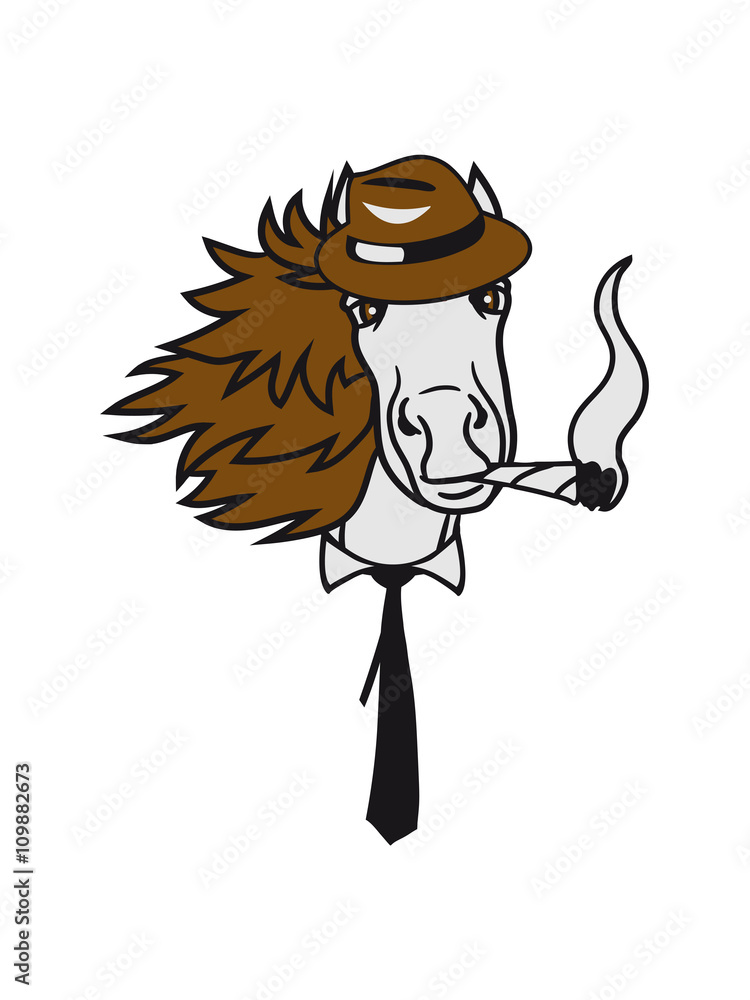 hat hat cigarette ties hermann cigar face head beautiful horse pony ...