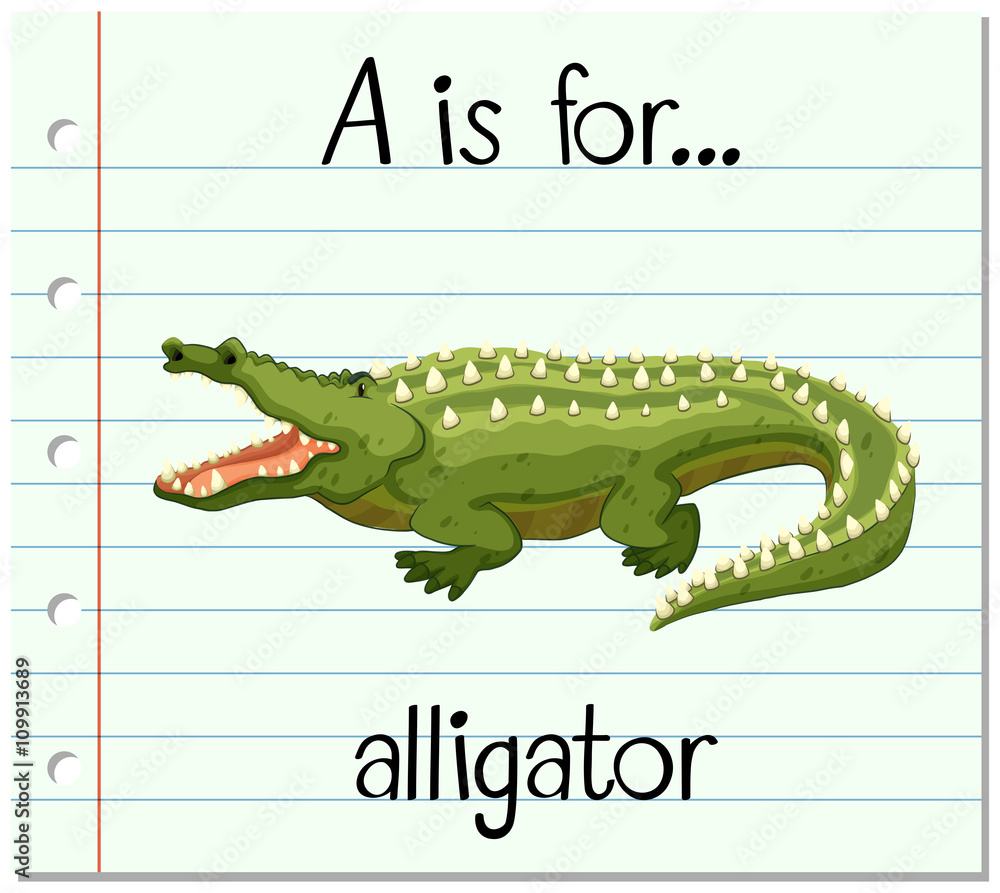 Flashcard letter A is for alligator Stock Vector | Adobe Stock