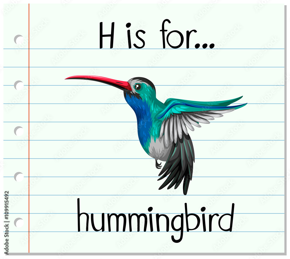 Flashcard letter H is for hummingbird Stock Vector | Adobe Stock