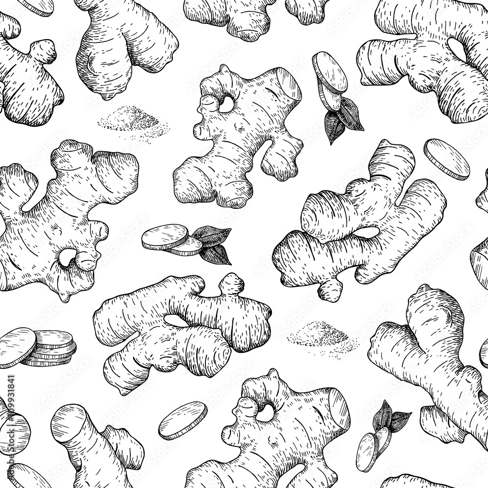 Vector hand drawn Ginger seamless pattern. Ginger root and cuted Stock Vector | Adobe Stock