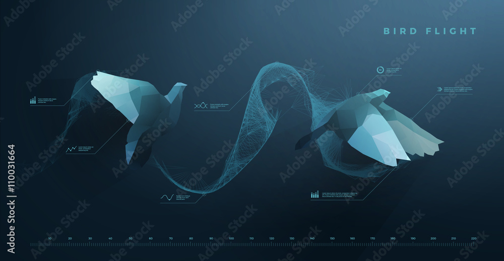 bird flight Stock Vector | Adobe Stock