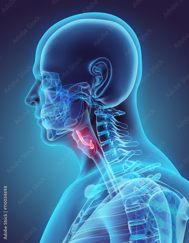 3D illustration of Epiglottis, medical concept. Stock Illustration ...