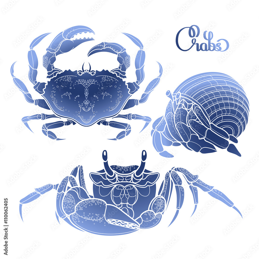 Graphic vector crab collection Stock Vector | Adobe Stock