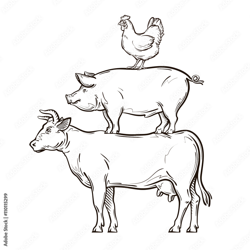 hand-drawn cow, pig, chicken. vector illustration Stock Vector | Adobe ...