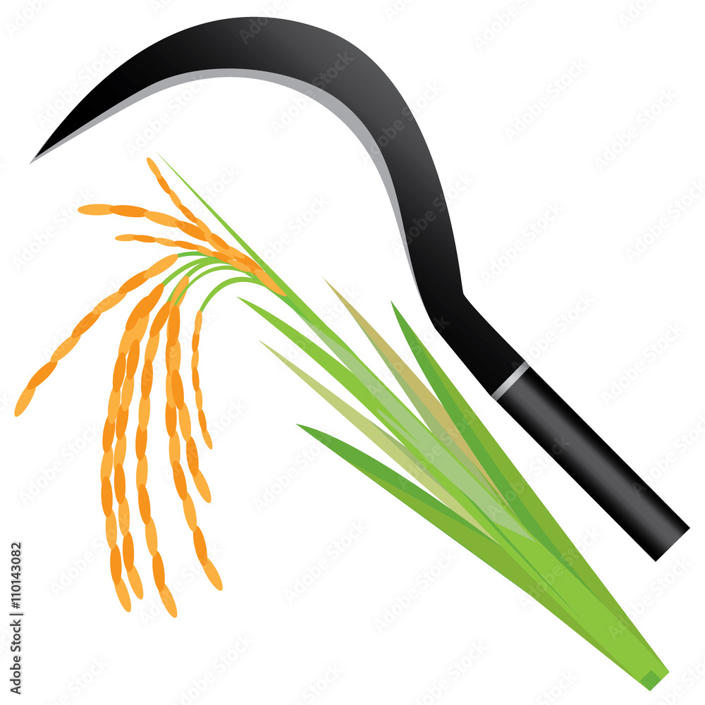 sickle and rice plant vector design Stock Vector | Adobe Stock