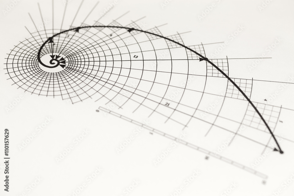 drawing of the golden section Stock Photo | Adobe Stock
