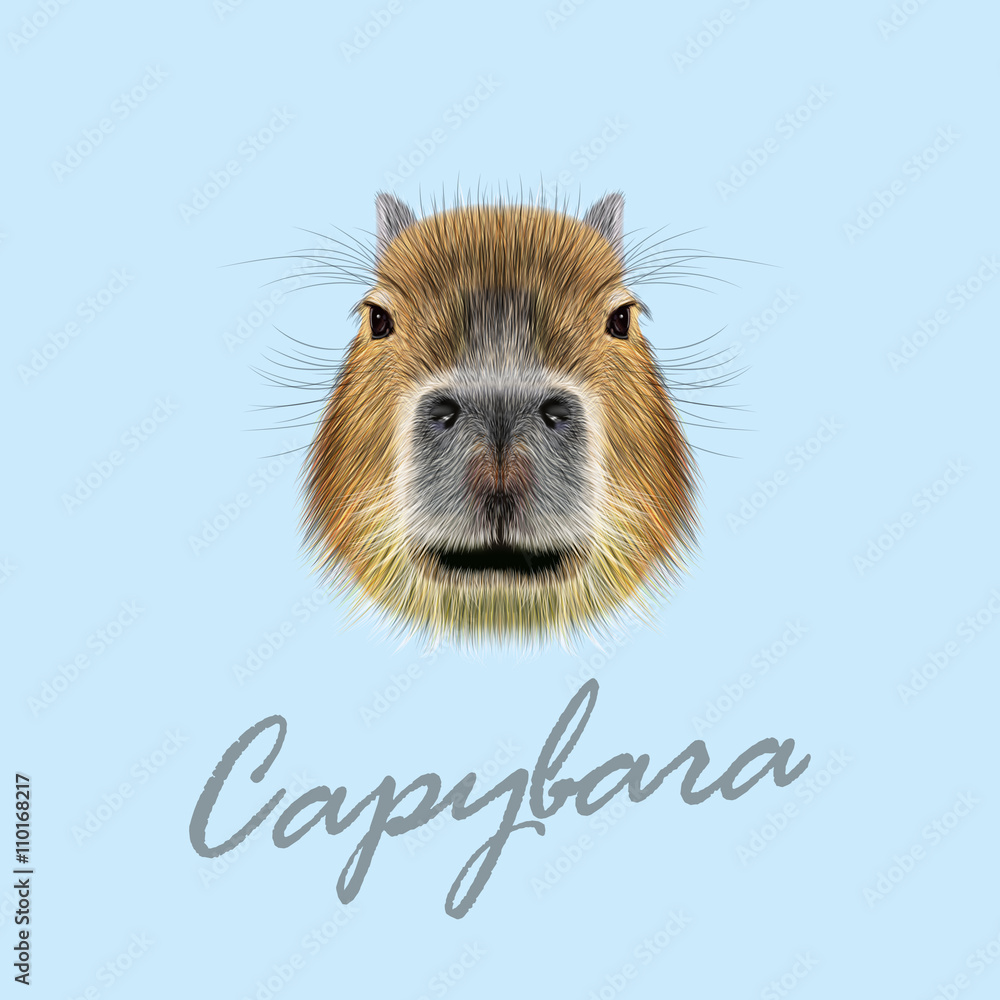 Vector Illustrated Portrait of Capybara. Cute face of wild Capybara on ...