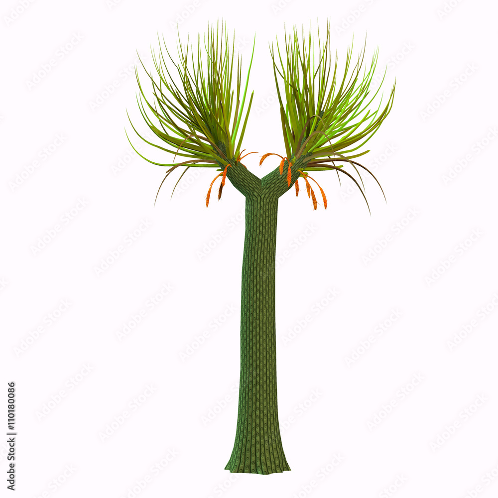 Sigillaria Tree -The twin of Lepidodendron, Sigillaria (with its ...