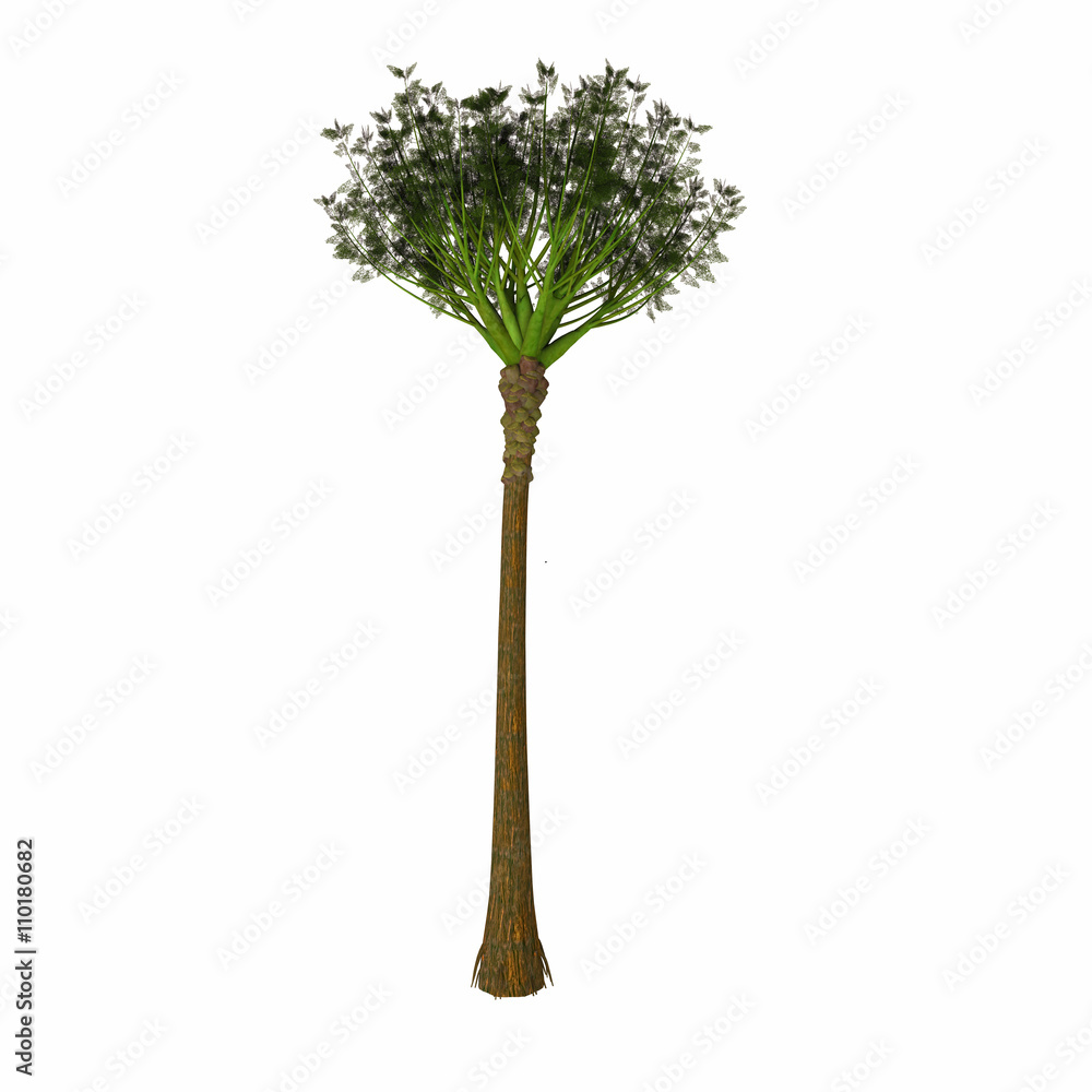 Wattieza Tree - Wattieza was a genus of prehistoric trees that existed ...