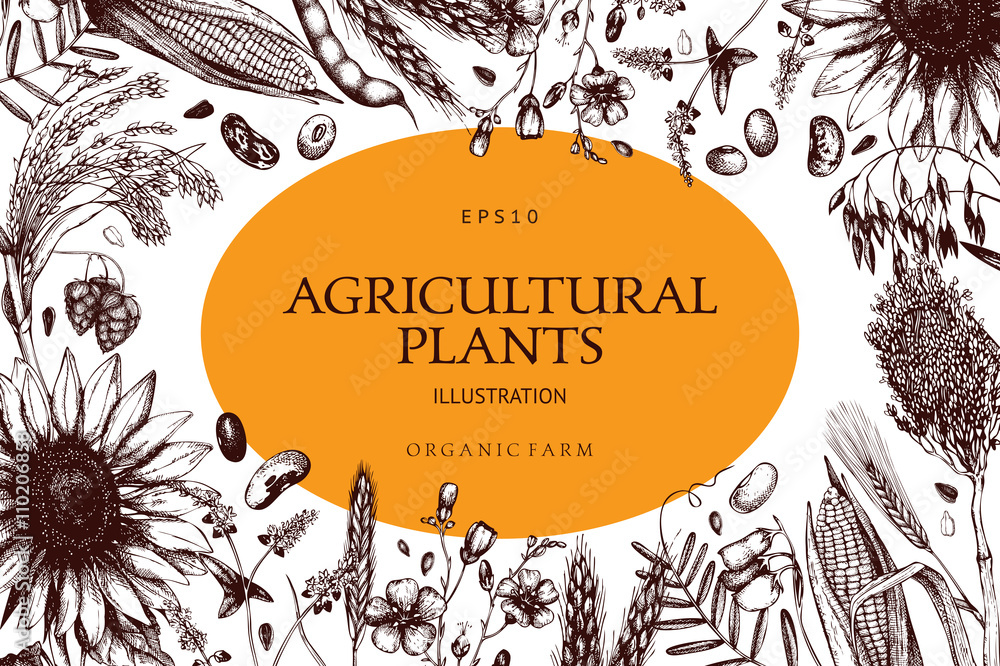 Vector design with ink hand drawn agricultural plants sketches. Vintage ...
