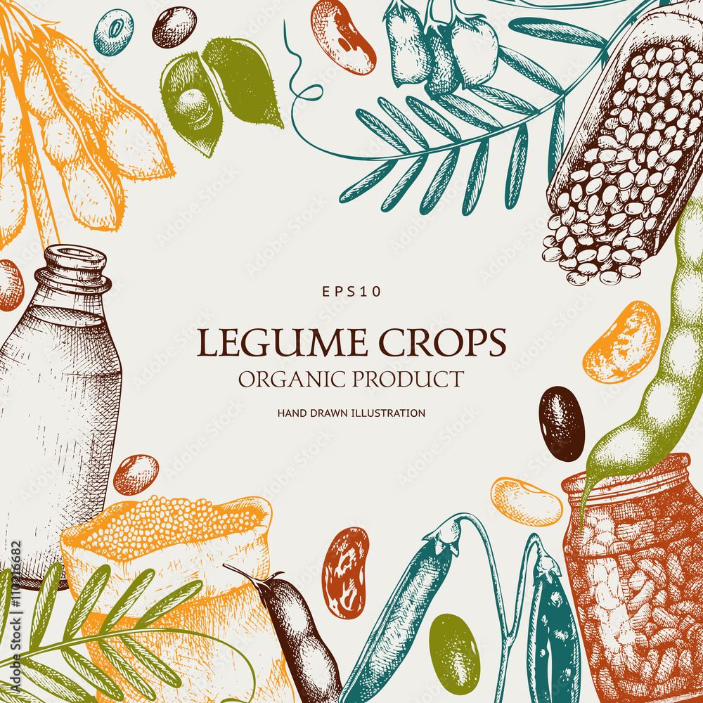 Vector colorful design with ink hand drawn legume crops sketches ...