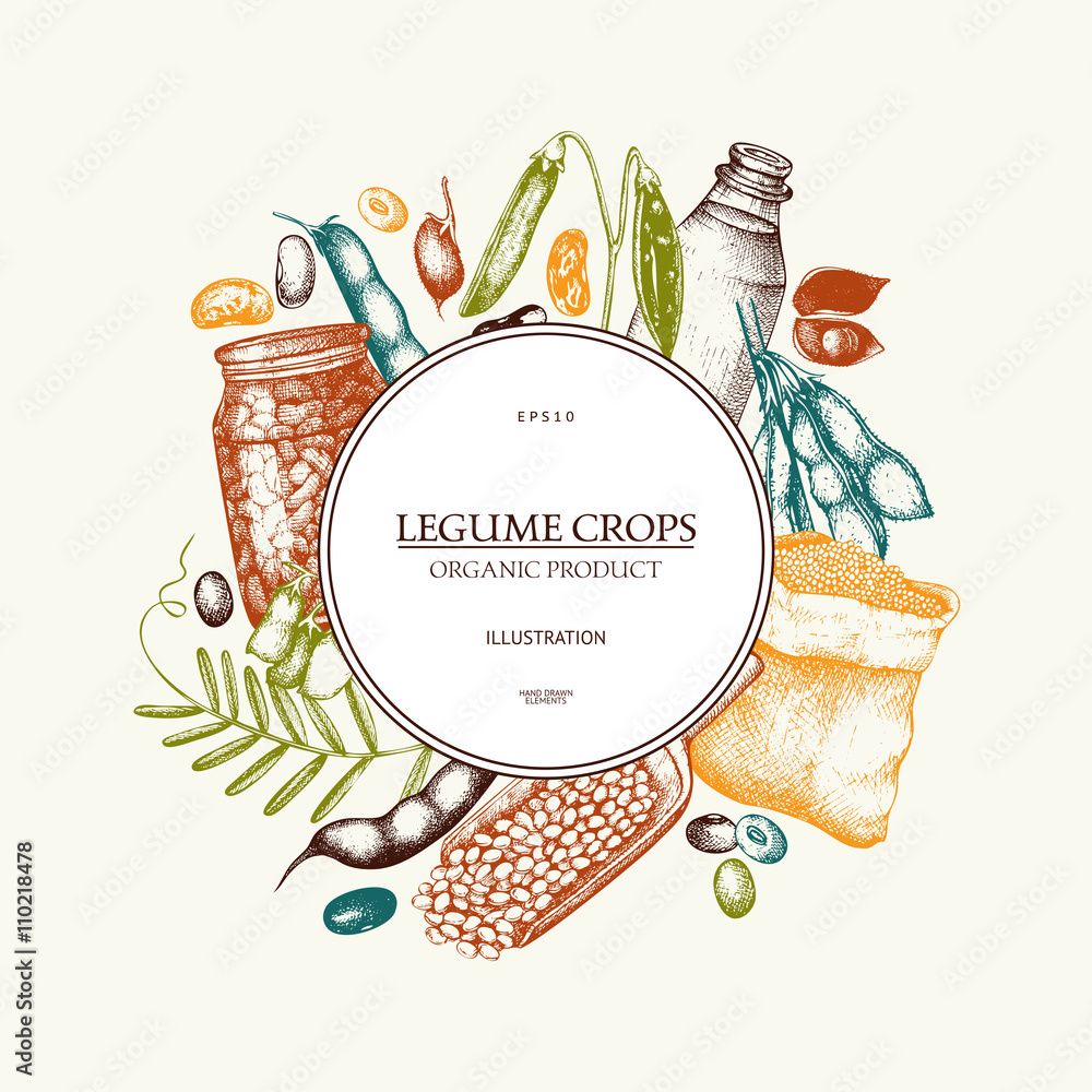 Vector colorful design with ink hand drawn legume crops sketches ...