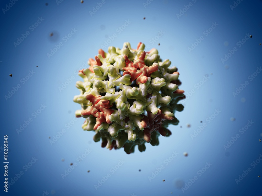 Hepatitis B virus particle, artwork Stock Photo | Adobe Stock