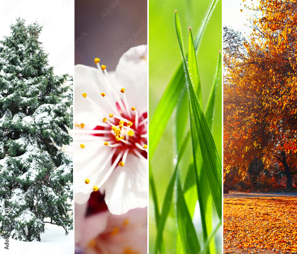 Different seasons of the year - several photos of beautiful nature ...
