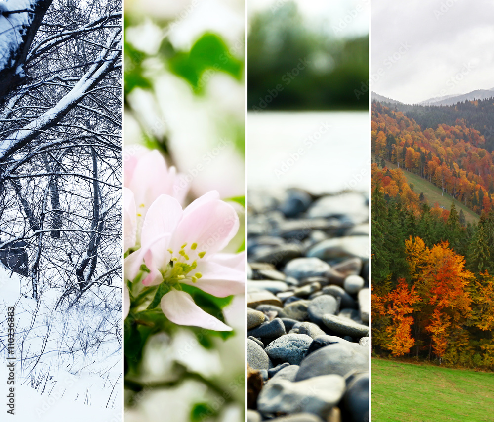 Different seasons of the year - several photos of beautiful nature ...