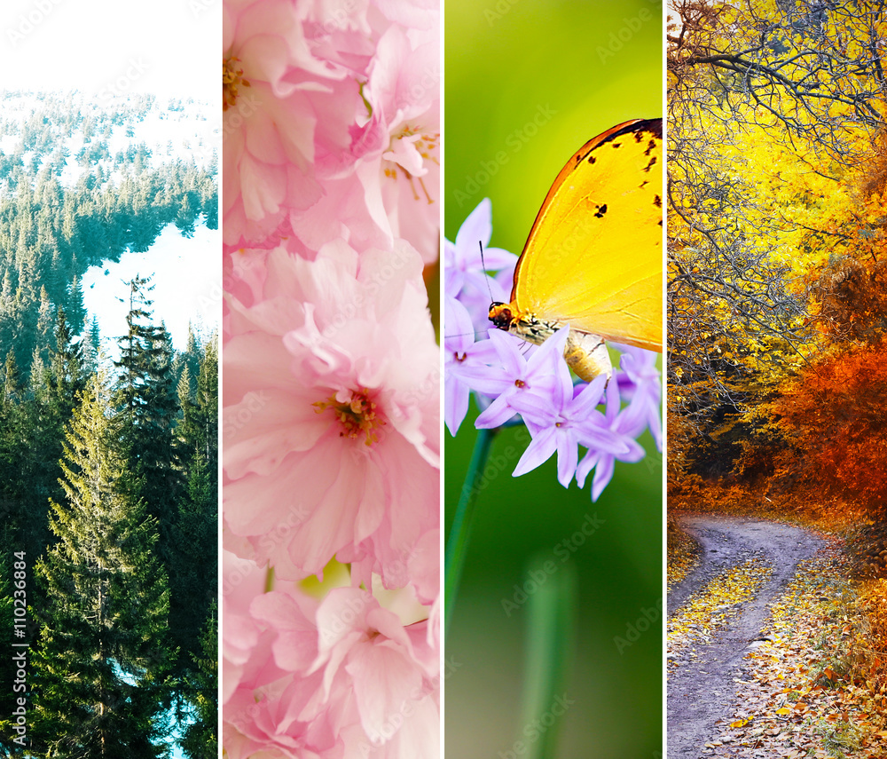 Different seasons of the year - several photos of beautiful nature ...