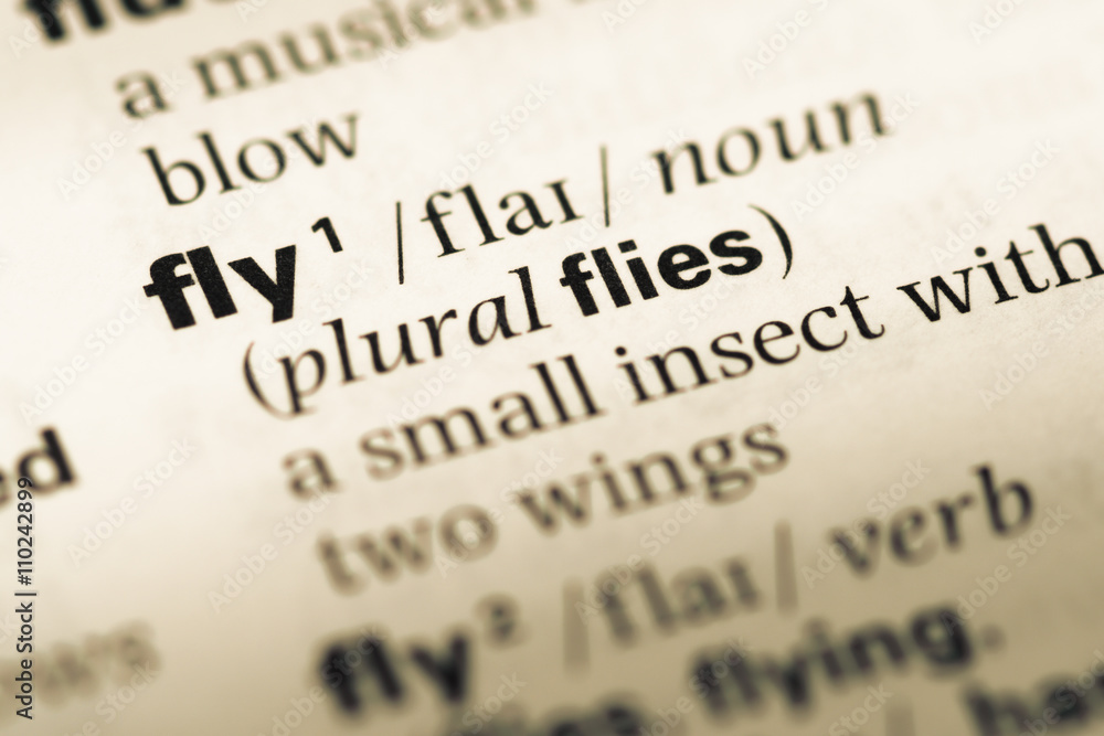 Fly Word In English