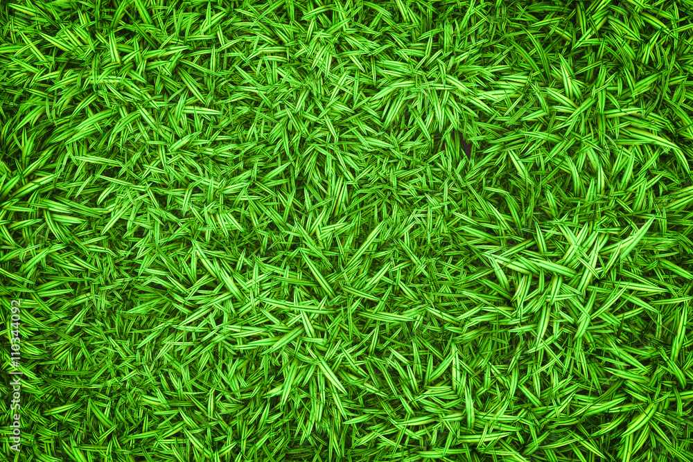 green grass texture background Stock Photo | Adobe Stock