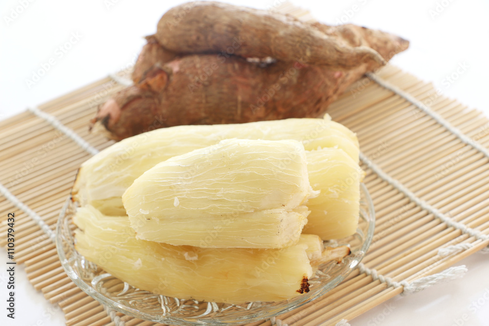 Tapioca (Cassava plant) Stock Photo | Adobe Stock