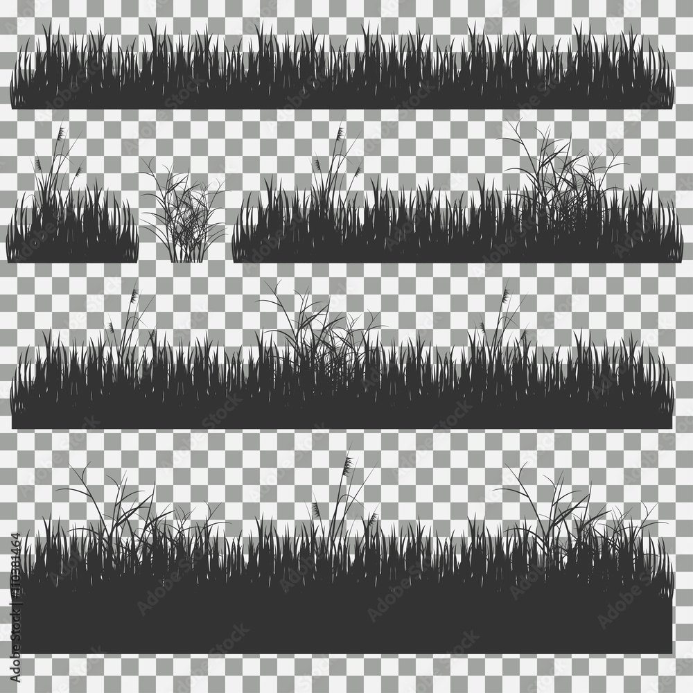 grass, shrubs. A set of various types of grass. Set of grass on a ...