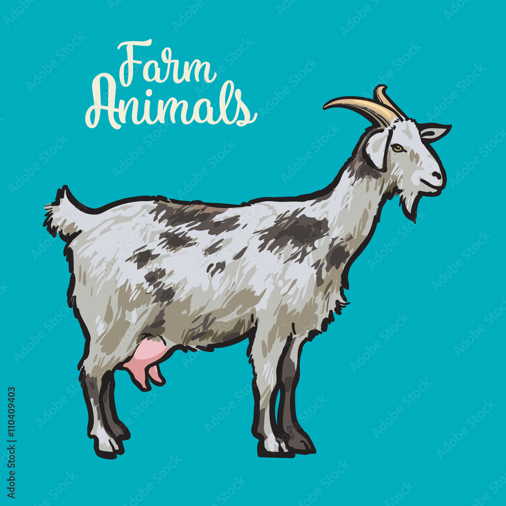Farm pet goat sketch drawn by hand, cattle, milk and goat meat, goat ...