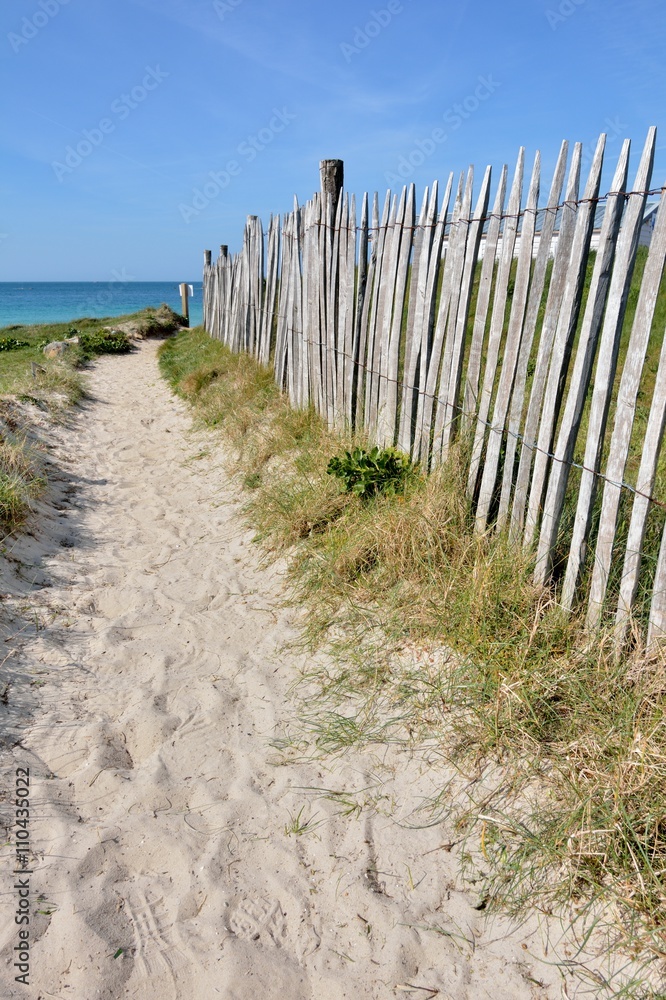 Sentier de randonnée dans le sable de la plage des dunes à Penvénan en ...