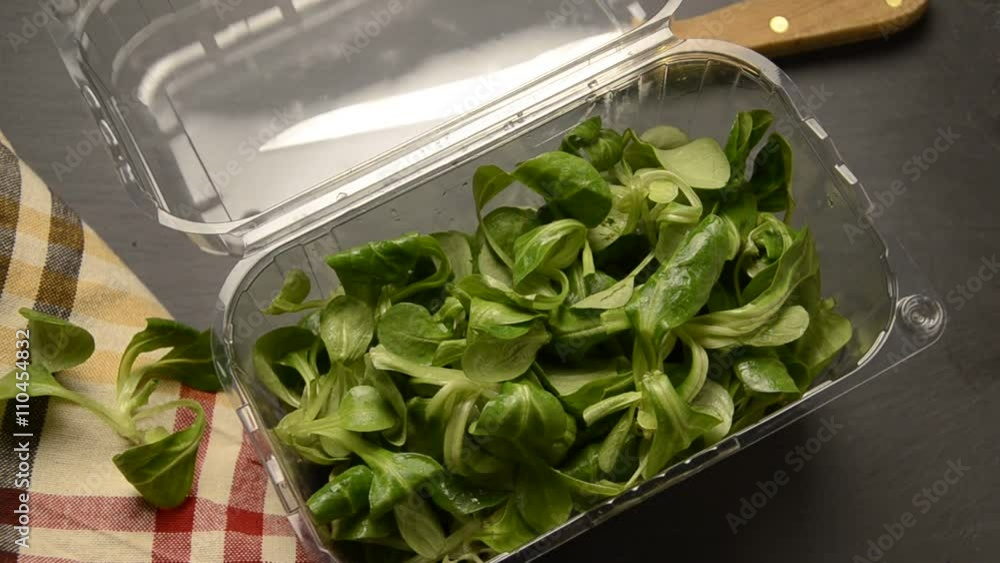 Video Stock Valerianella locusta Corn salad Valeriana Lamb's lettuce ...