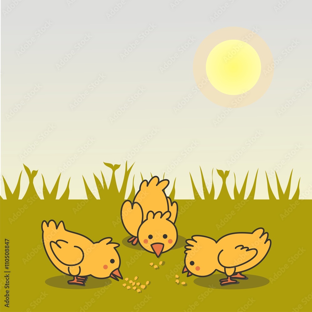 Pollitos comiendo maíz. Ilustración vectorial Stock Vector | Adobe Stock