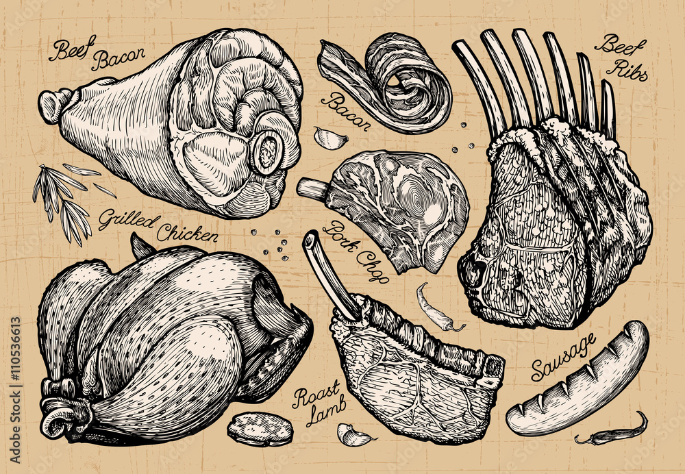 meat, butcher shop. hand drawn sketches of food. vector illustration ...