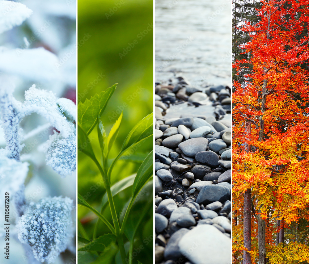 Different seasons of the year - several photos of beautiful nature ...