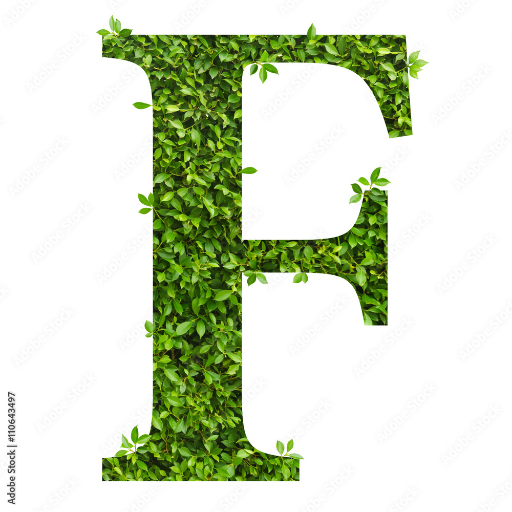 Letter F, alphabet of green leaves Stock Photo | Adobe Stock
