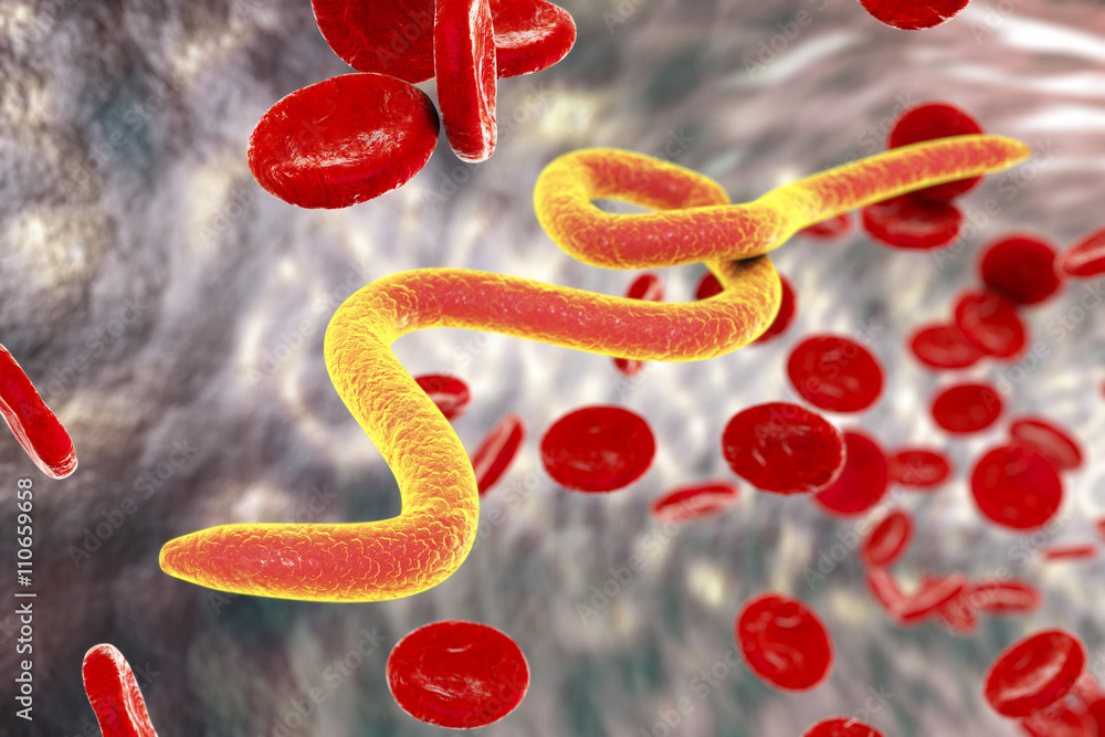 Microfilaria worms in blood, 3D illustration. Nematode parasites ...