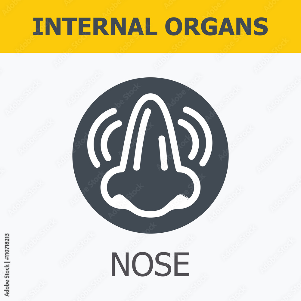 Internal organs - nose. Family and a healthy lifestyle. Medical ...