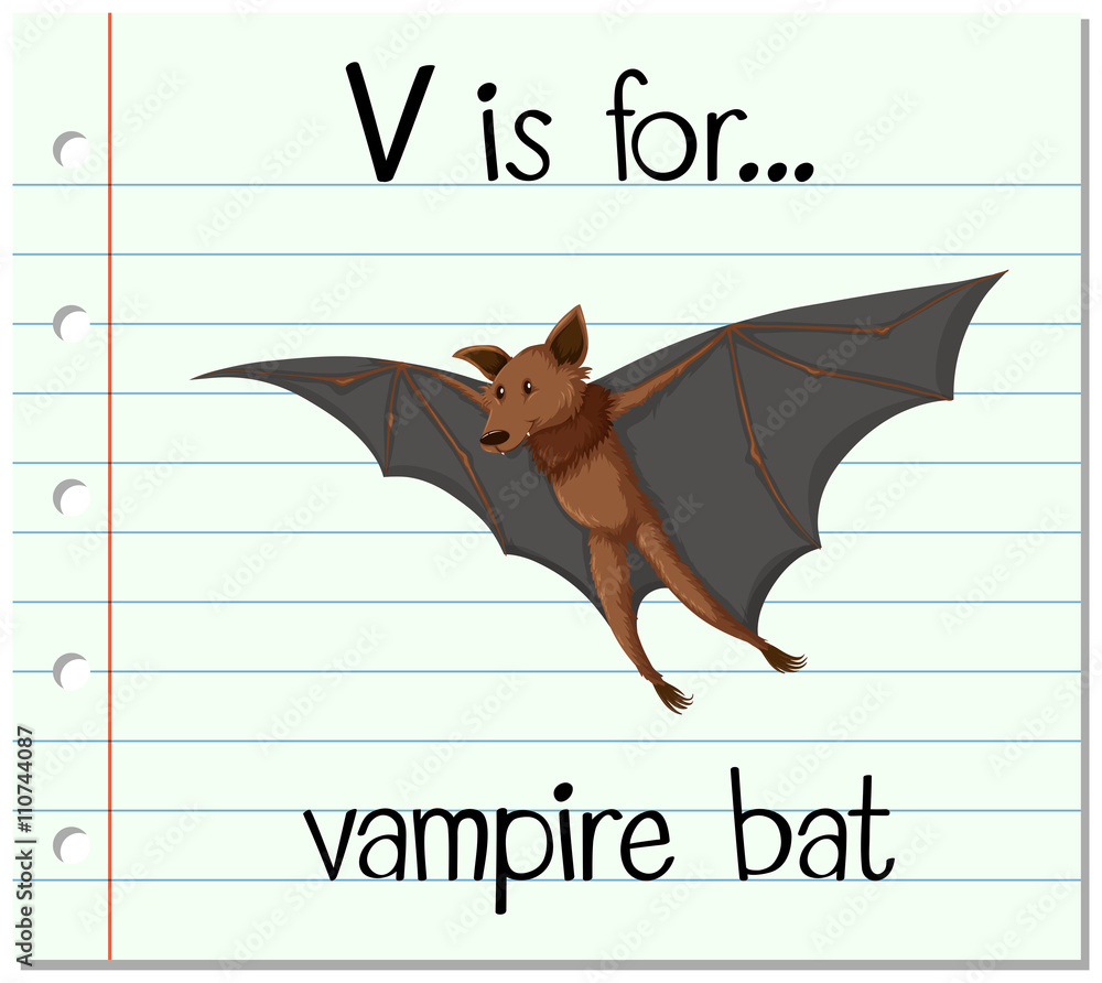 Flashcard letter V is for vampire bat Stock Vector | Adobe Stock