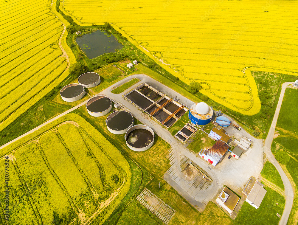 Aerial view to biogas plant from pig farm in rapeseed fields. Renewable energy from biomass ...