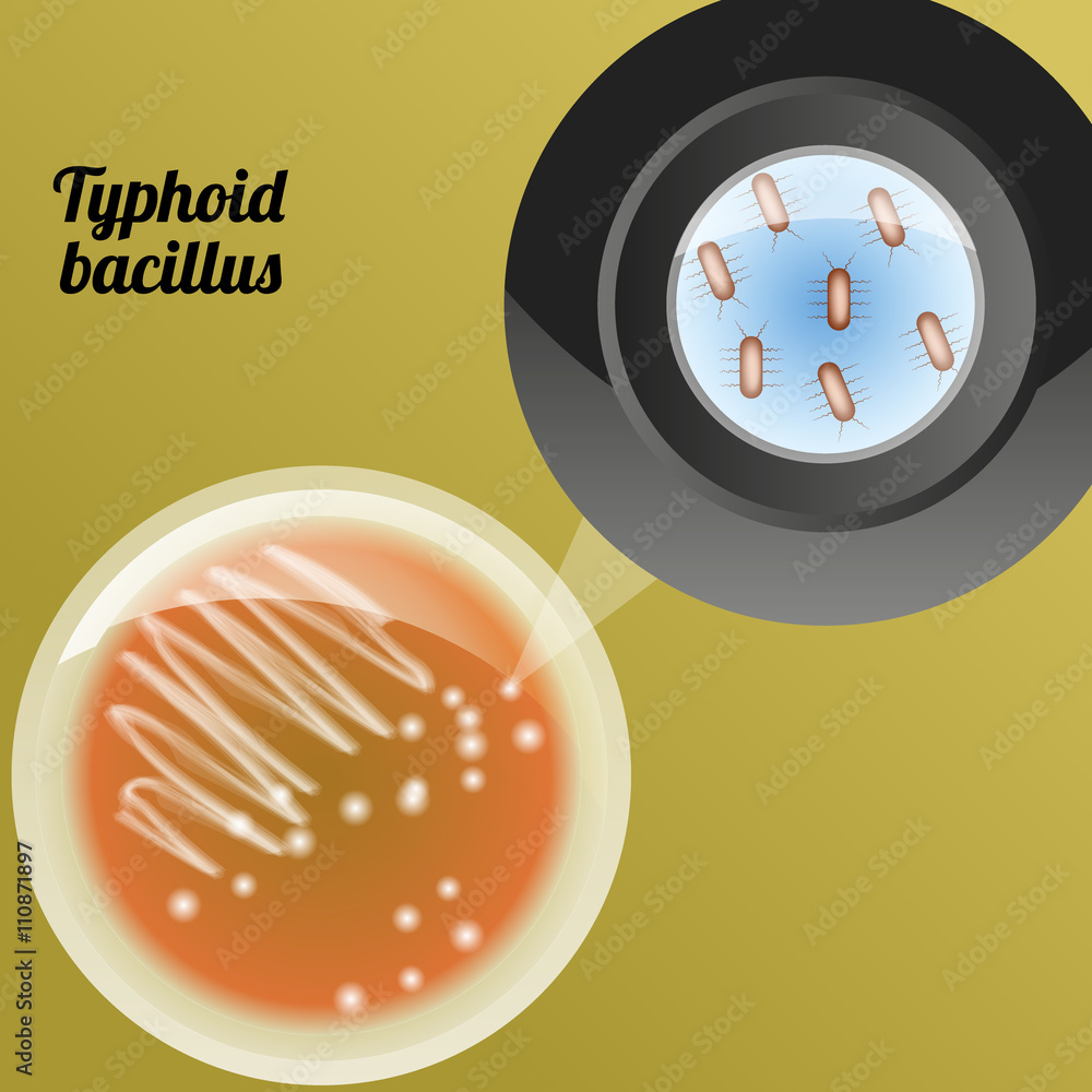 Typhoid bacillus Stock Vector | Adobe Stock