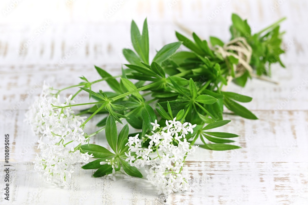 Bund Waldmeister auf hölzernem Hintergrund Stock-Foto | Adobe Stock