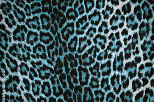 Blue Leopard Print