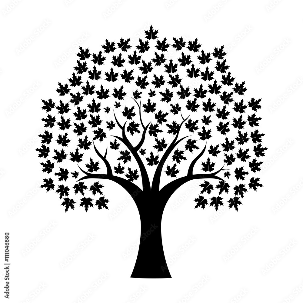 Maple Tree Silhouette