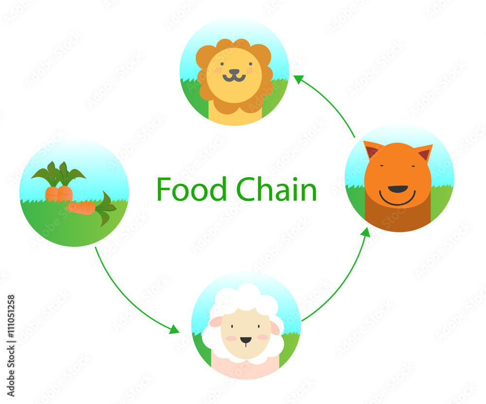 Food chain for kids Stock Vector | Adobe Stock