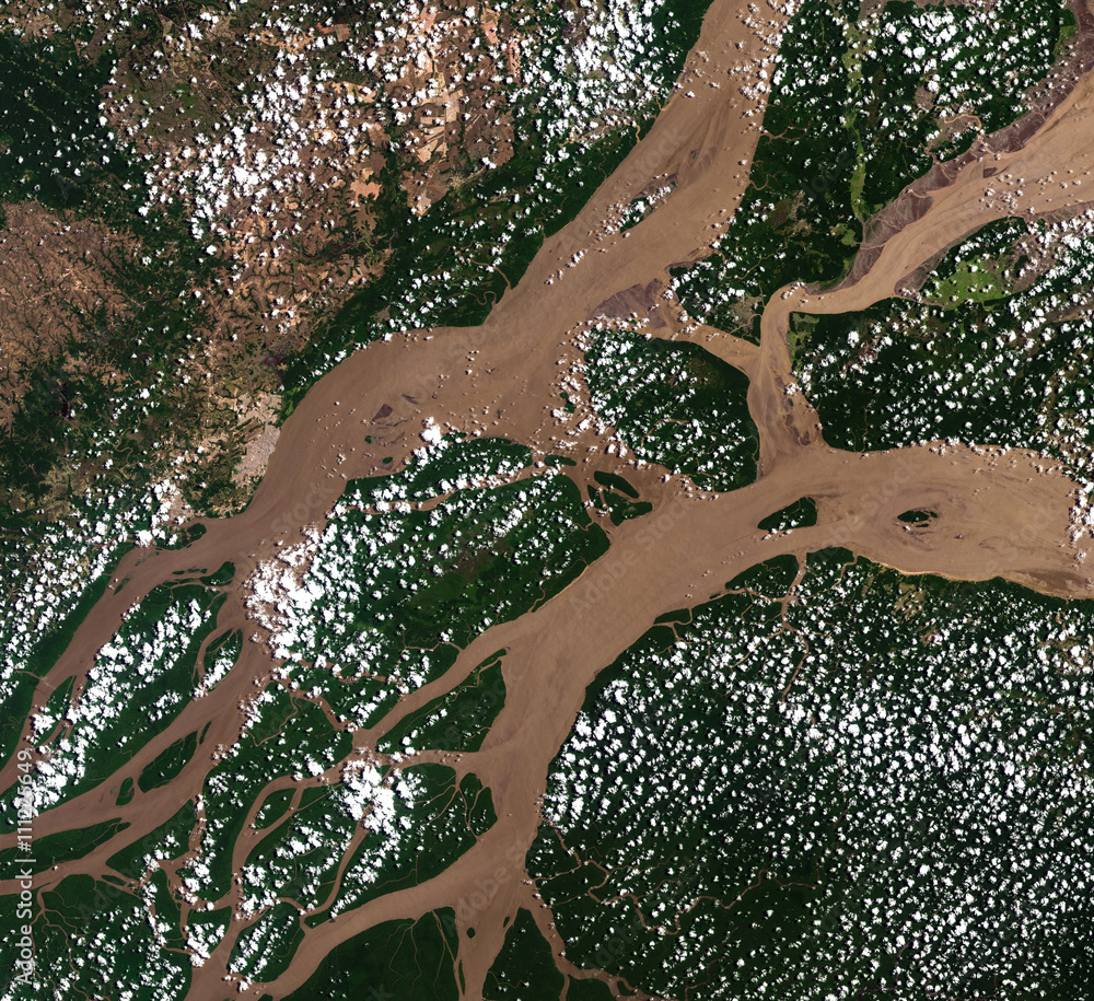 Poster Amazon river from Landsat satellite – Wall Art | UkPosters
