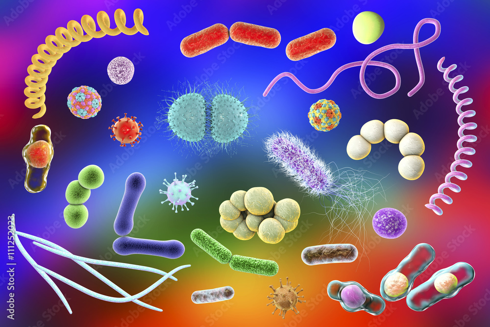 Microbes, 3D illustration. Bacteria of different shapes and viruses ...