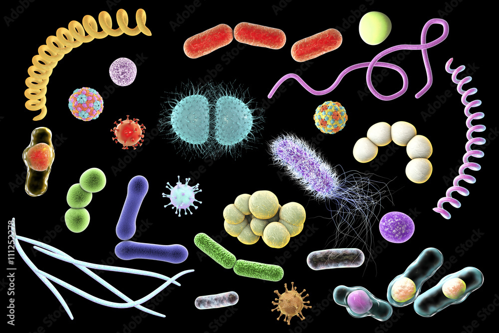 Microbes, 3D illustration. Bacteria of different shapes and viruses ...