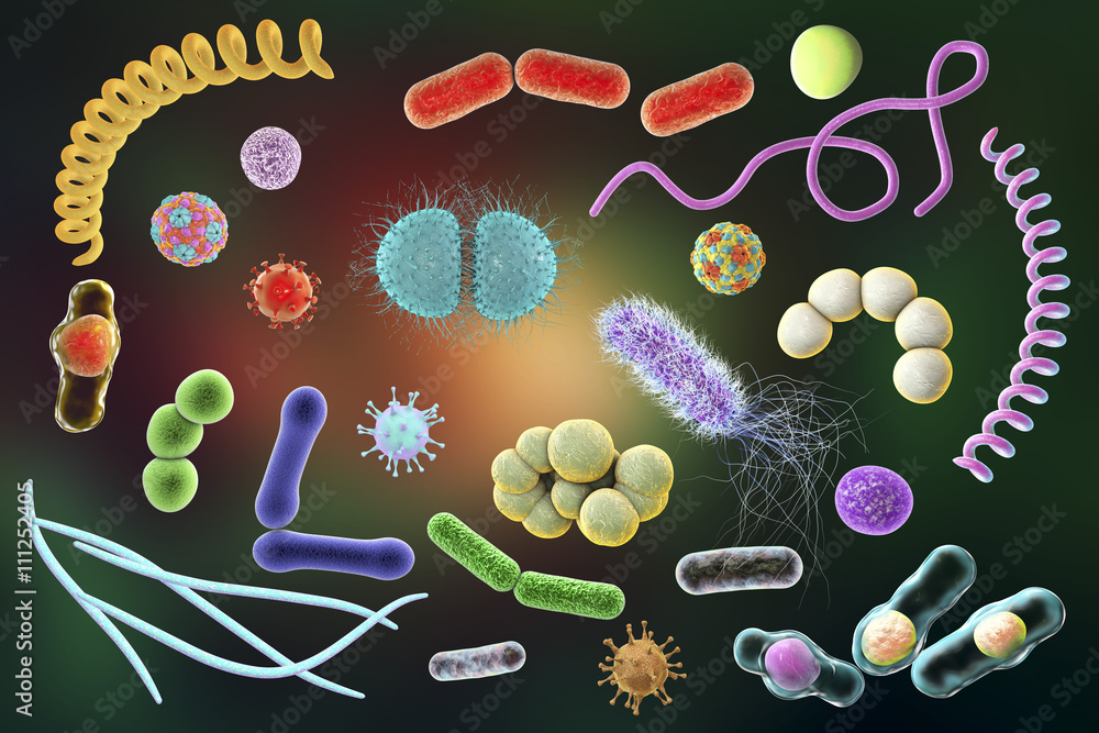 Microbes, 3D illustration. Bacteria of different shapes and viruses ...