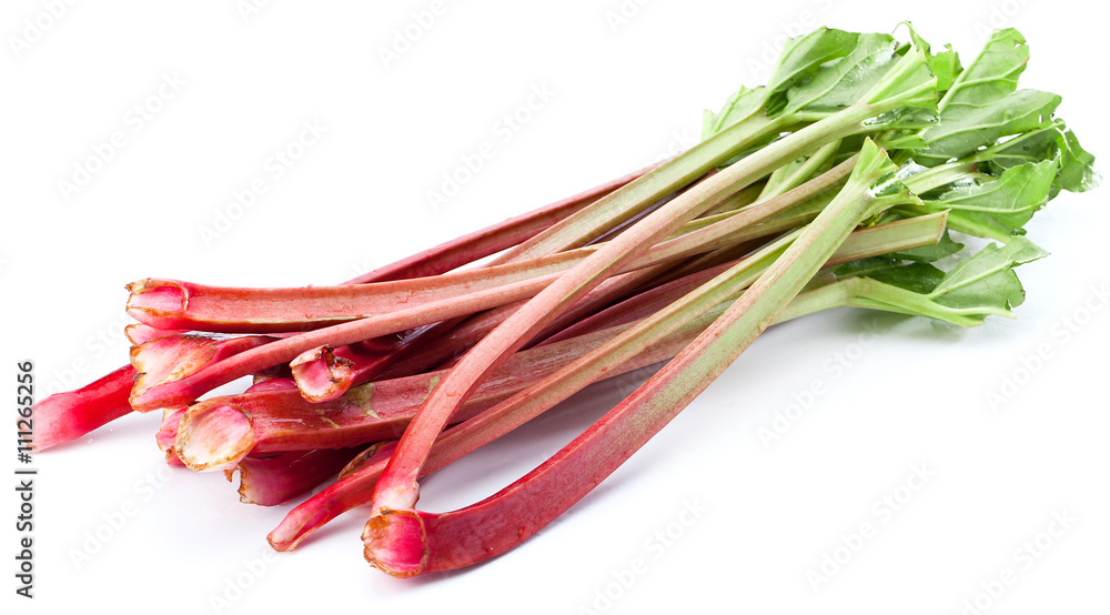 Rhabarber auf weissem Hintergrund foto de Stock | Adobe Stock