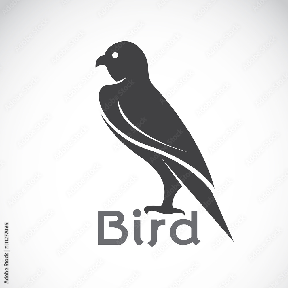 Vector image of an bird design on white background, Bird logo, E Stock ...