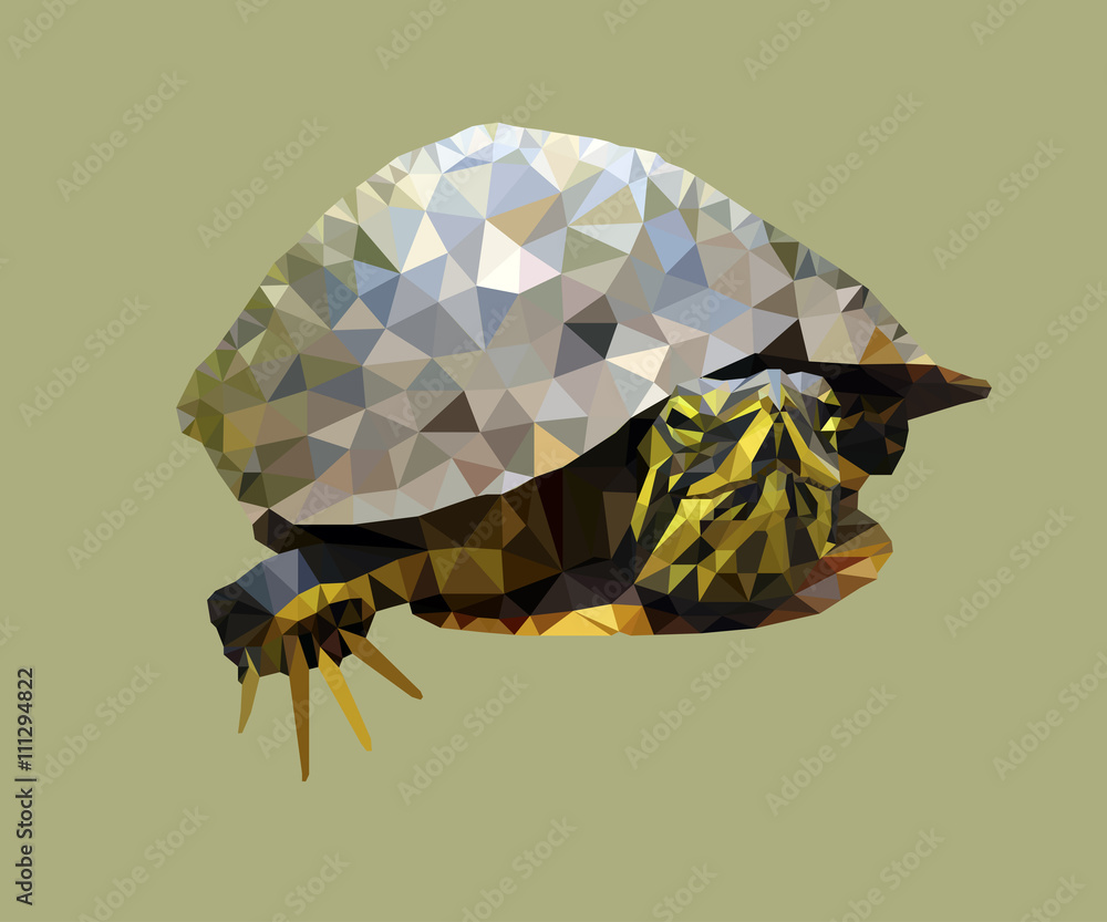 Turtle vector low poly illustration Stock Illustration | Adobe Stock