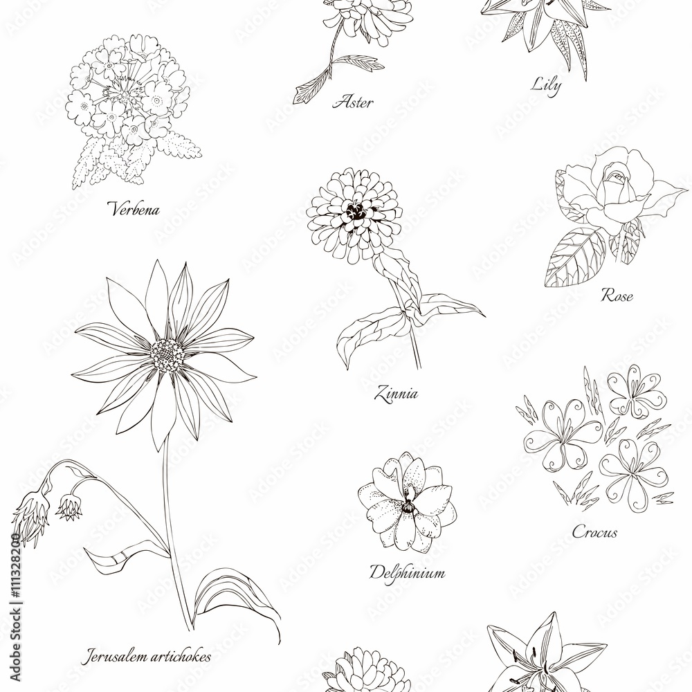 Cute floral seamless pattern. Hand drawn black and white flowers ...