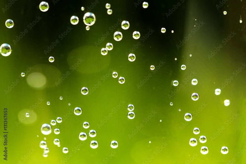green abstract background with water drops Stock Photo | Adobe Stock