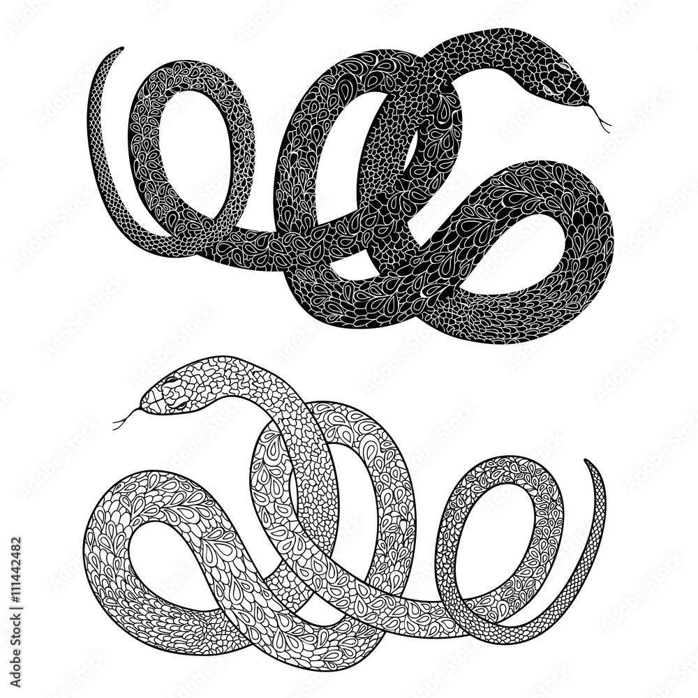Snake set. Engraved hand drawn vector illustraction of ornamenta Stock ...